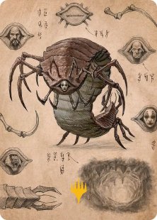 Art Card 34: Koh, the Face Stealer - Avatar: The Last Airbender Art ...