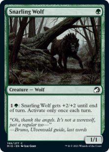 Snarling Wolf - Innistrad: Midnight Hunt | Bazaar of Magic