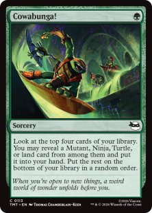 Cowabunga! (foil) - Teenage Mutant Ninja Turtles | Bazaar of Magic